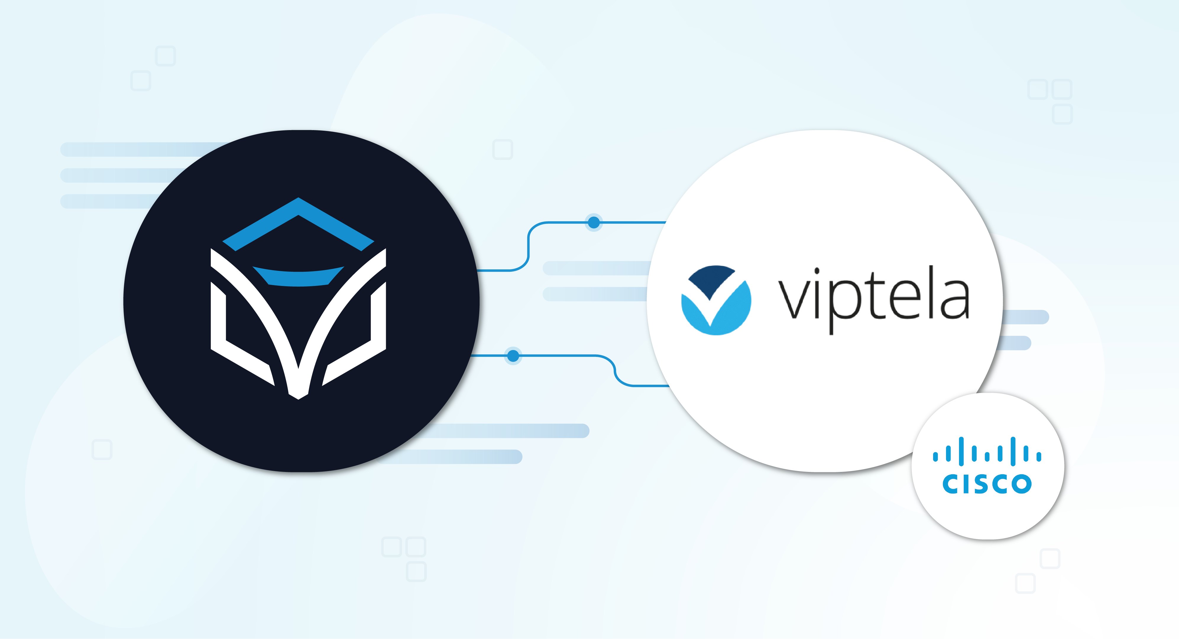 Viptela Logo Virtuous BWF